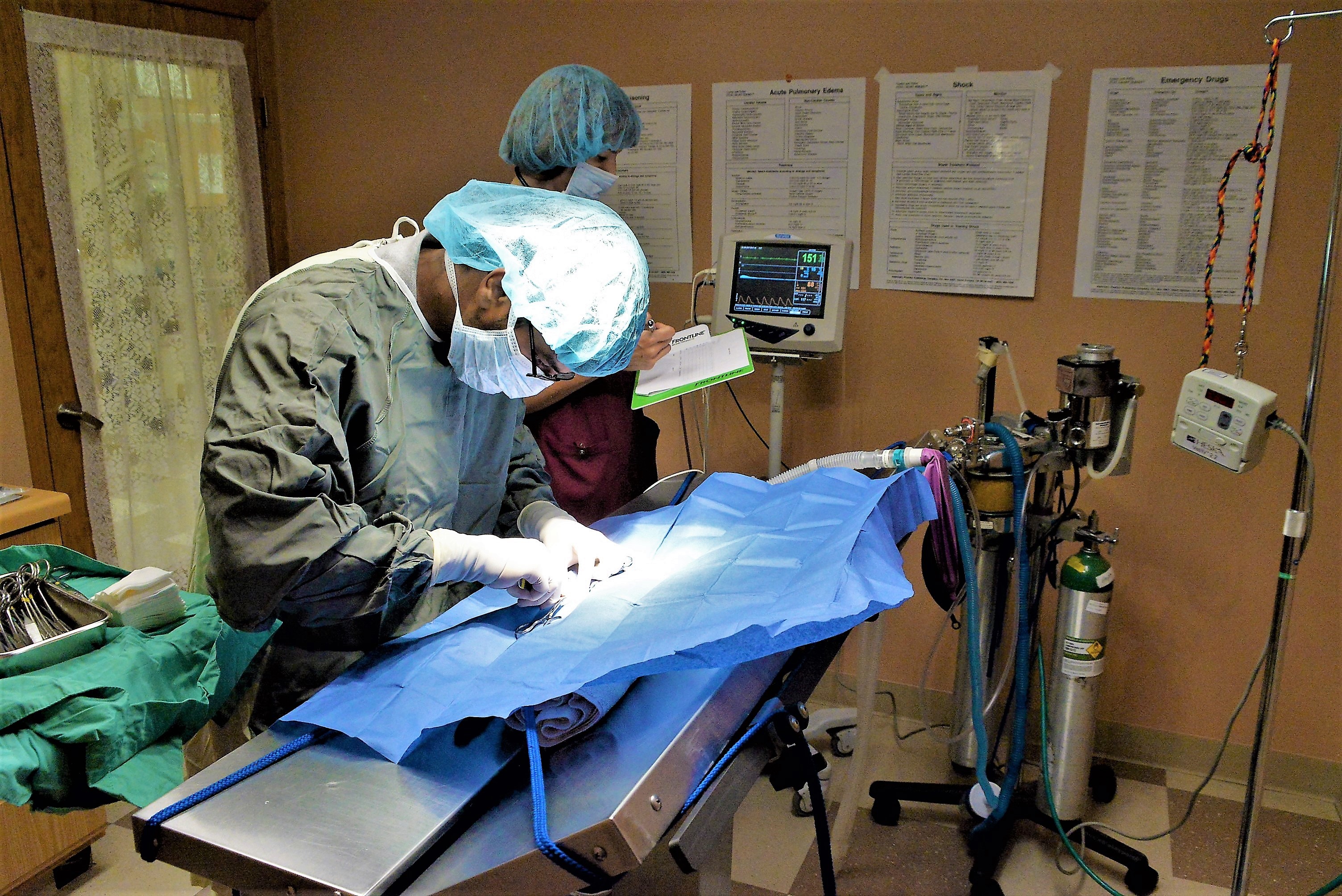Animal Hospital of Chetek - Veterinary Hospital - Barron County, WI