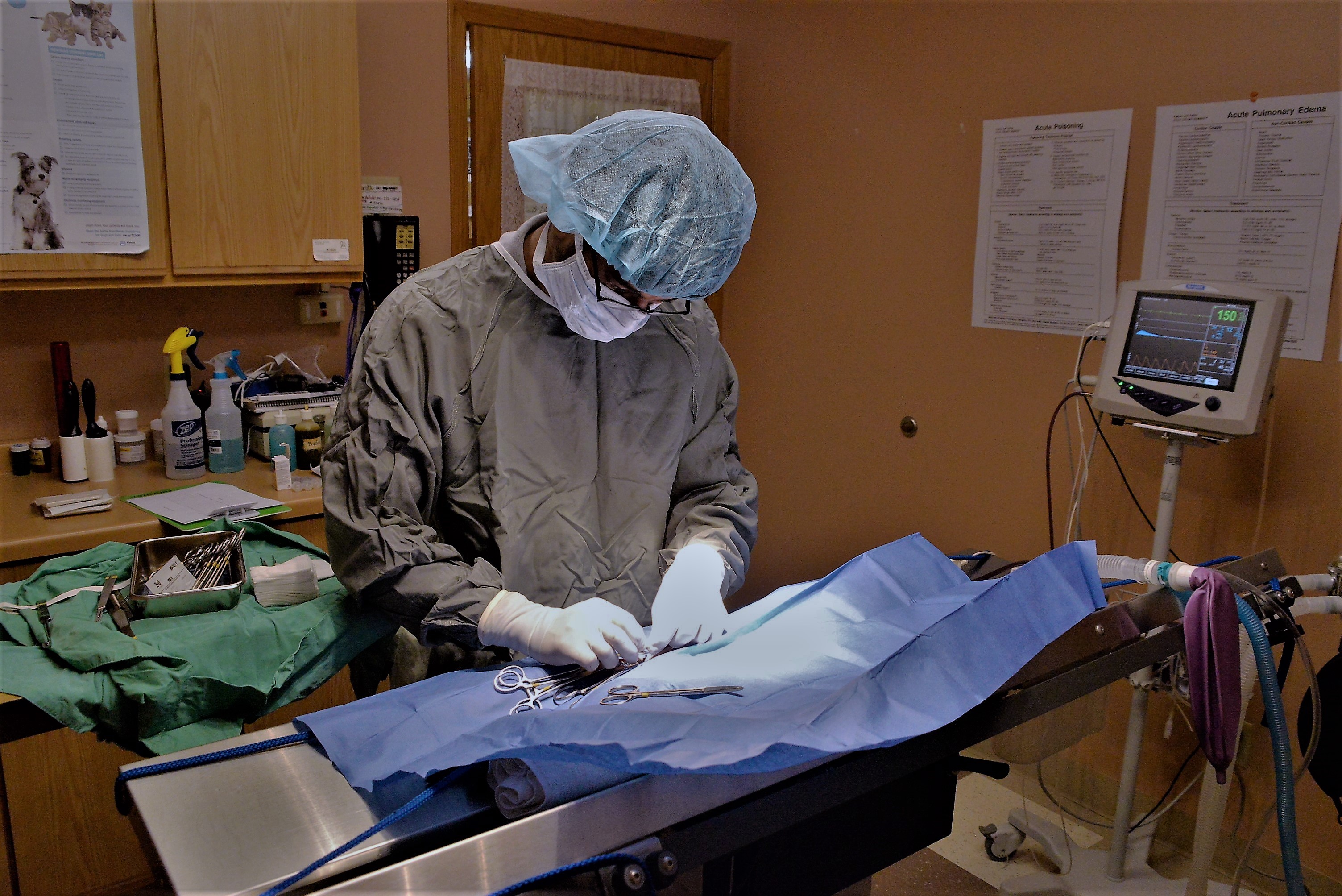 Animal Hospital of Chetek - Veterinary Hospital - Barron County, WI